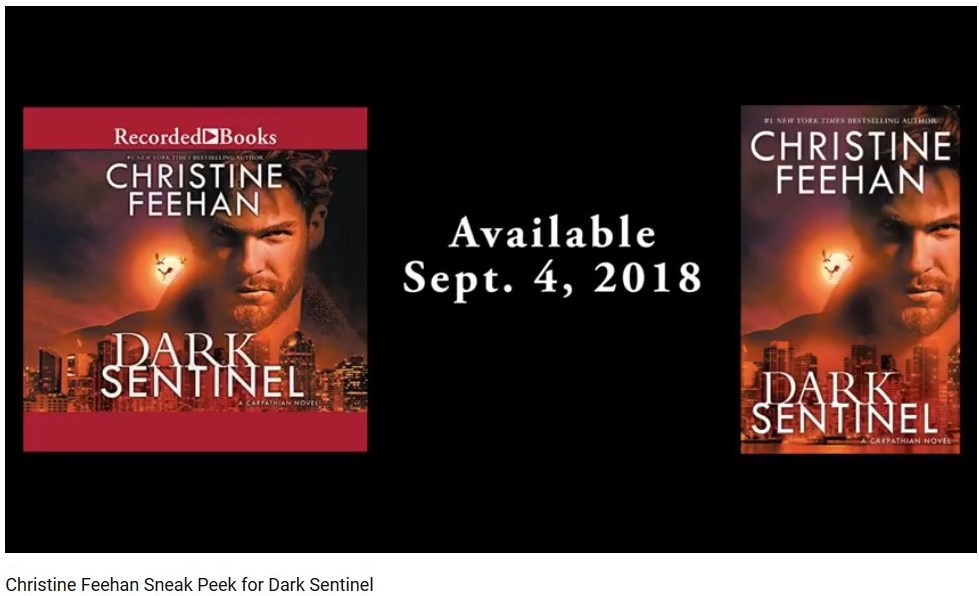 Christine Feehan's Blog - Dark Sentinel Excerpt From Chapter 4 ...